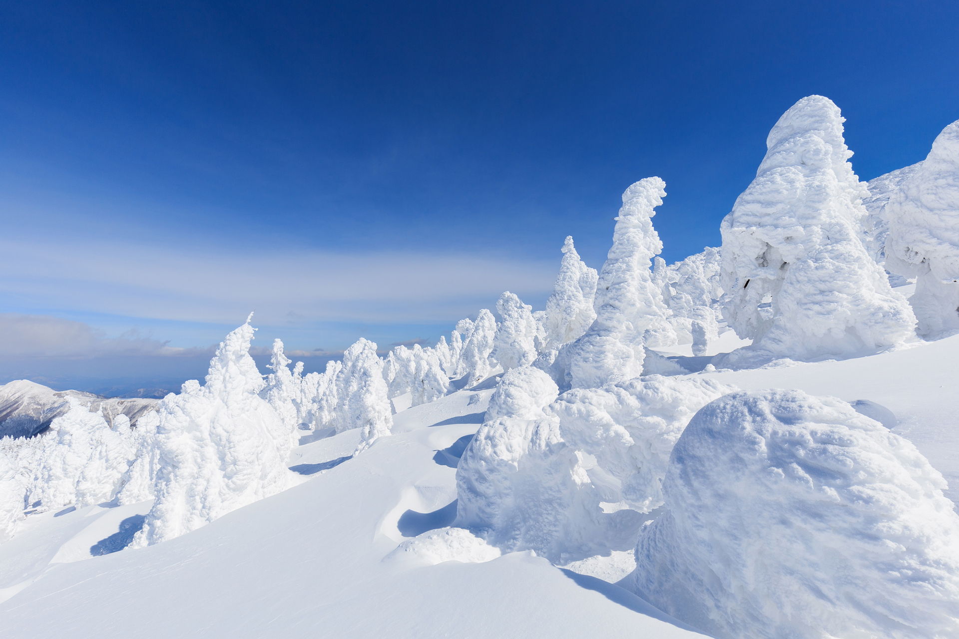 [EN]山形 | 仙台ターミナルビル株式会社